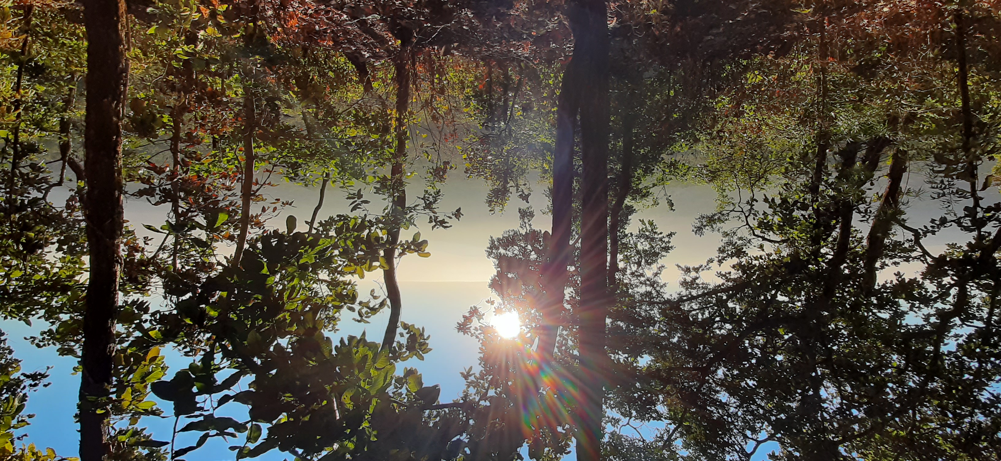 AmarkantakWala - Explore the Spiritual Essence of India